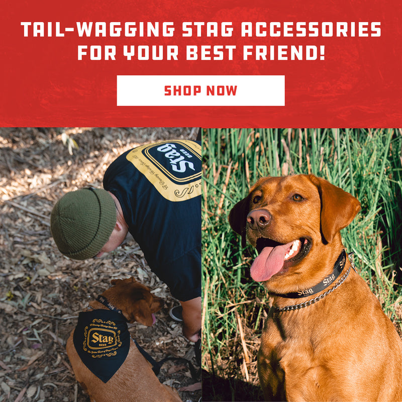 Stag Beer Official Shop